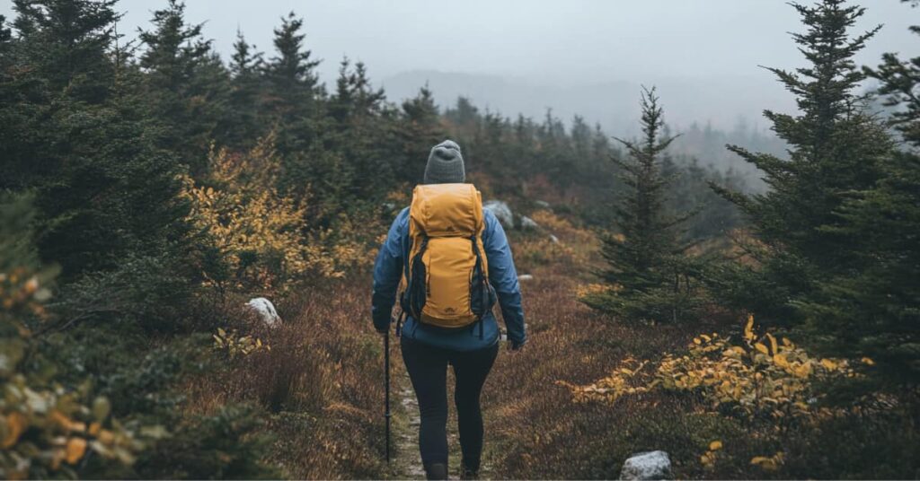 Garfield Pest Control | Residential, Commercial | NH